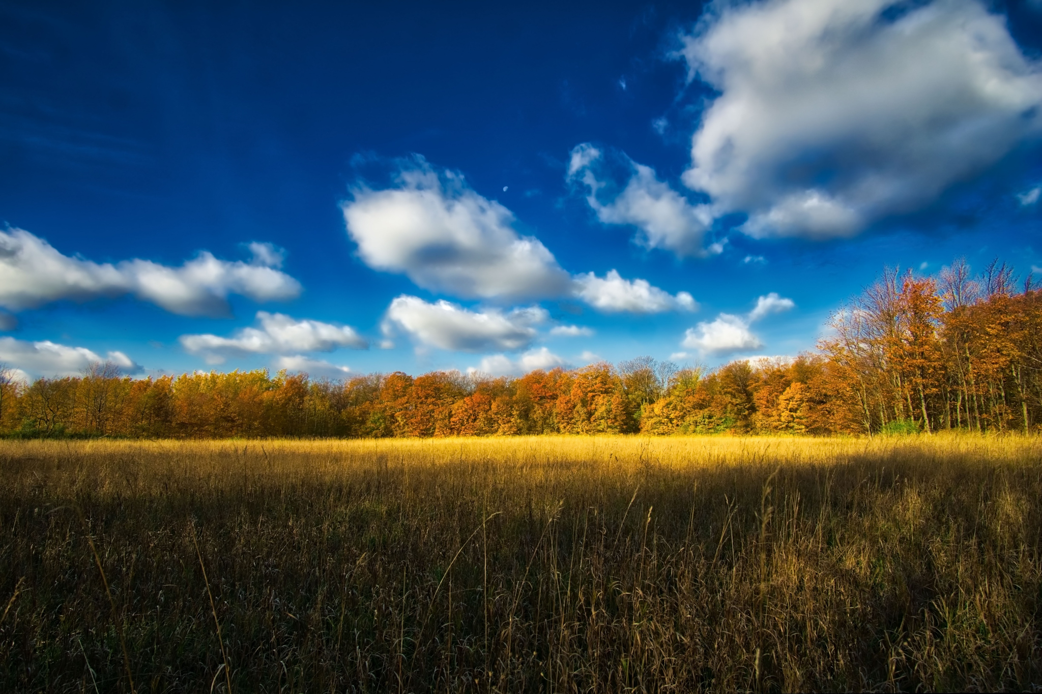 Place of the Cleared Land: True Origin of the Name “Michigan” – Omena ...